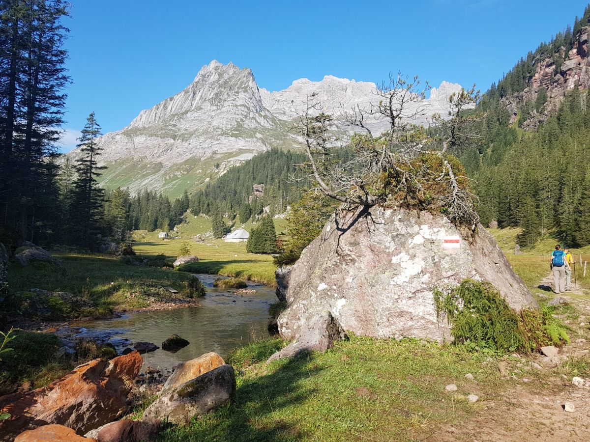 Wanderbuch101 • St. Galler Wanderwege